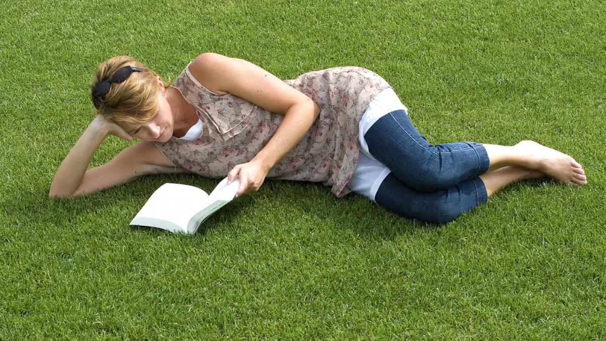Slender creeping red fescue: Turfgrass List, your online database for ...